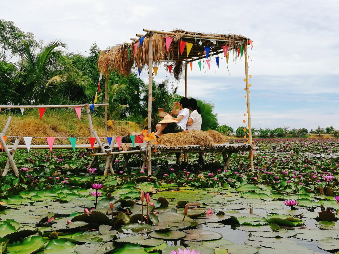 バンコクから日帰り可！蓮の花が美しい「Red Lotus market」 | TRIPPING!