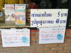 バンコクから日帰り可！蓮の花が美しい「Red Lotus market」 | TRIPPING!