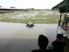 バンコクから日帰り可！蓮の花が美しい「Red Lotus market」 | TRIPPING!