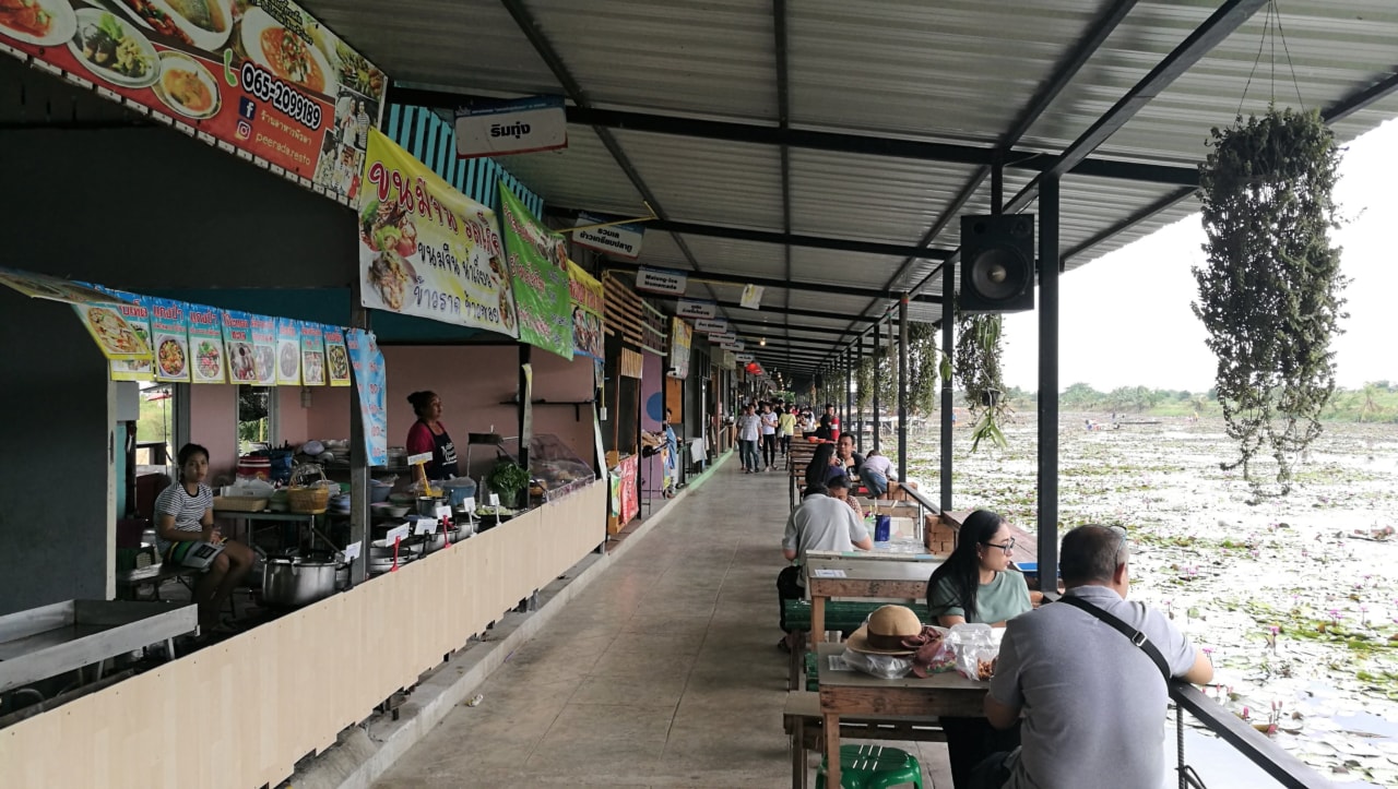 バンコクから日帰り可！蓮の花が美しい「Red Lotus market」 | TRIPPING!